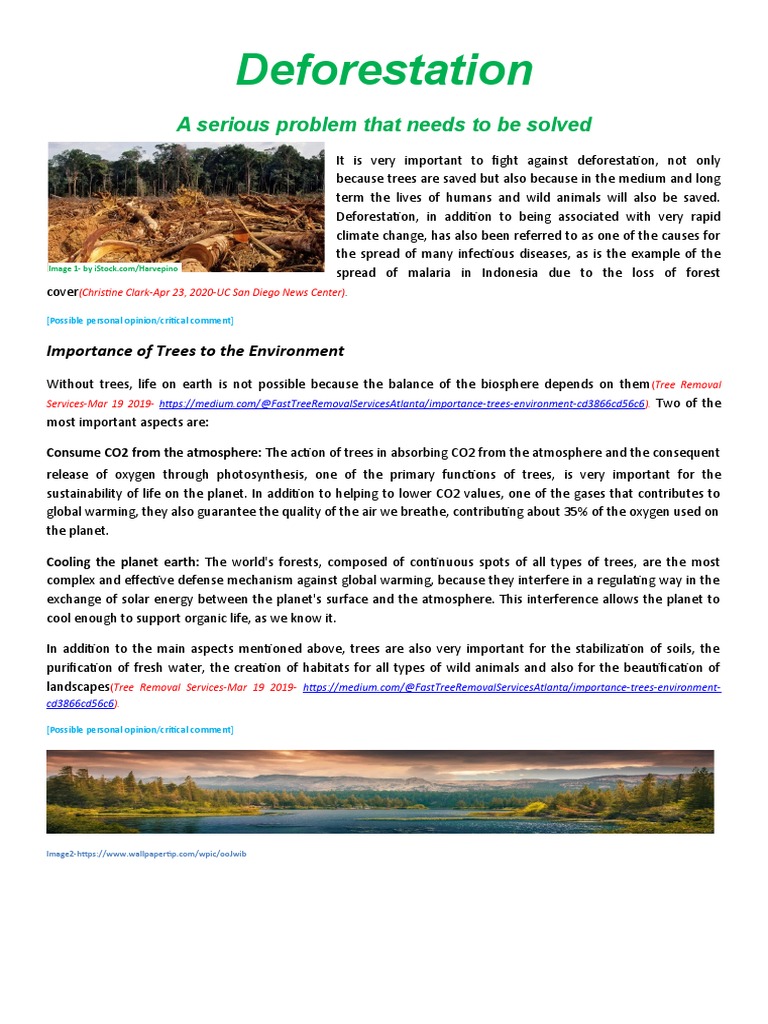 Deforestation: A Serious Problem That Needs To Be Solved | PDF ...