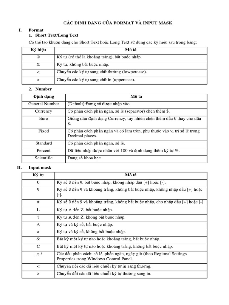 Dinh Dang Format Va Input Mask | PDF