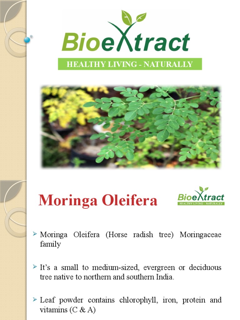 Moringa Product Presentation | PDF | Specification (Technical Standard ...