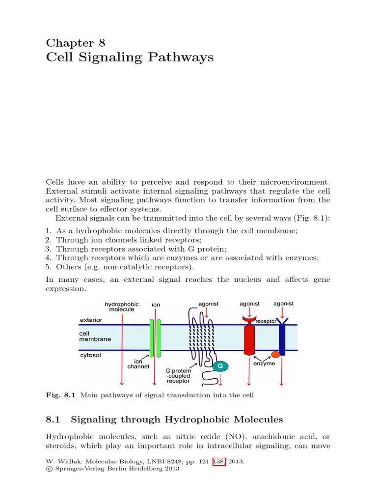 Cell Signaling Pathways | PDF | Nf κb | Protein Kinase