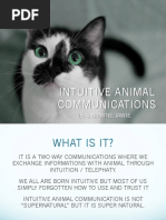 Cat FAS and Frustration Management Guide | PDF