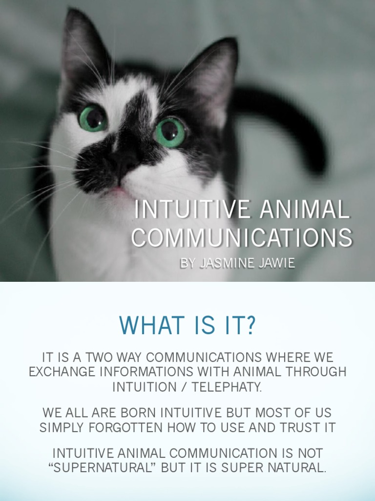 Intuitive Animal Communications Getting Started Oilibu | PDF ...