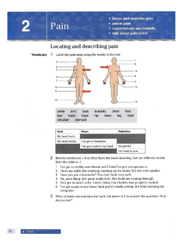Chapter 2 Pain | PDF