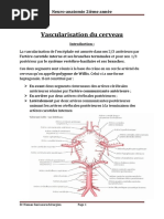ANATOMIE DU TRACTUS OPTIQUE Zio | PDF | Thalamus | Système nerveux