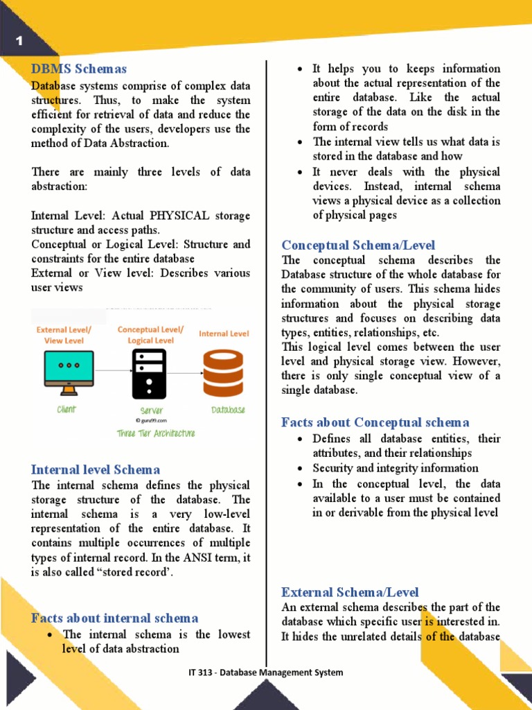 DBMS Schemas: IT 313 - Database Management System | PDF | Databases | Database Schema