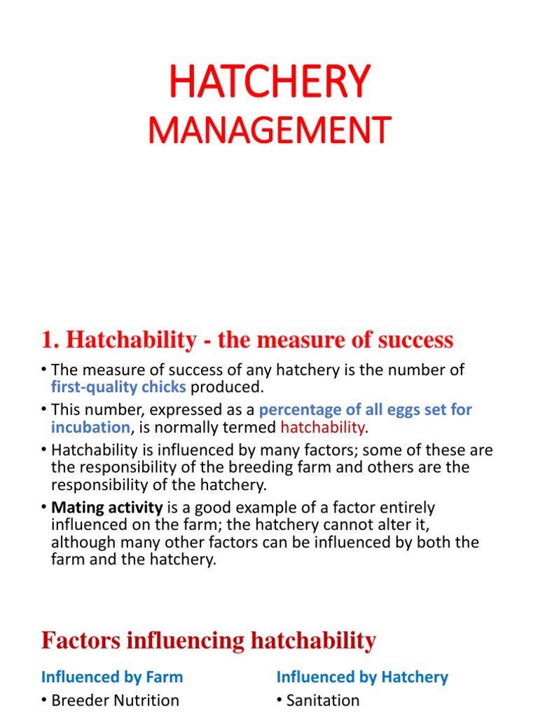 Optimizing Hatchery Management Through Effective Egg Handling ...