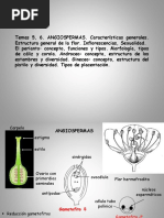 Atlas - Helmintos | PDF