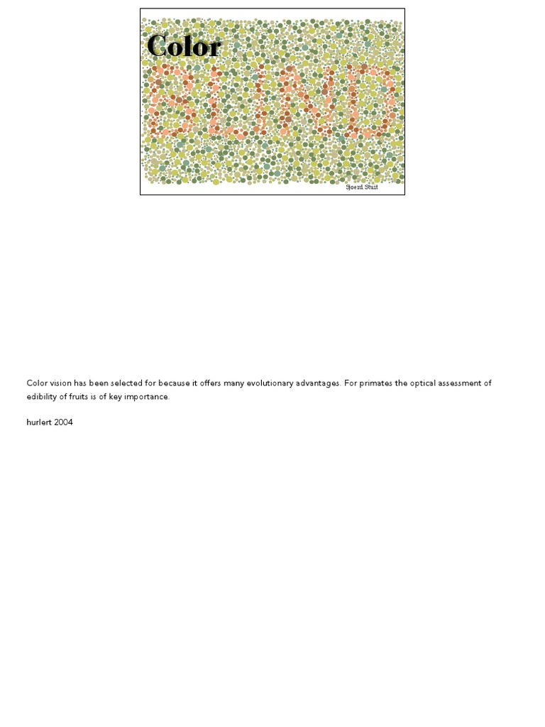 Lecture Color | Download Free PDF | Color | Light