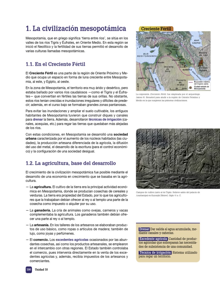 MESOPOTAMIA | PDF | Mesopotamia | Agricultura