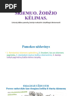 Nosiniu Raidziu Rasymas Zodziu Saknyje - Taisykles - Pask. | PDF