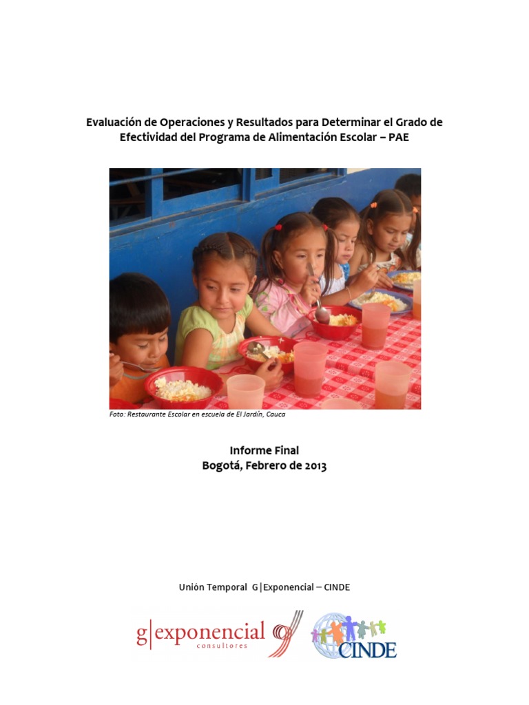 Informe Final Eval Pae | PDF