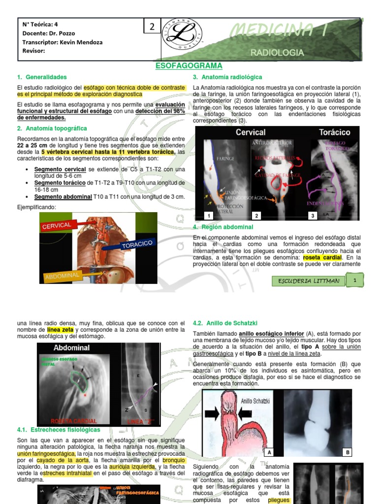 RX de Esófago, Estomago y Duodeno | PDF | Estómago | Esófago