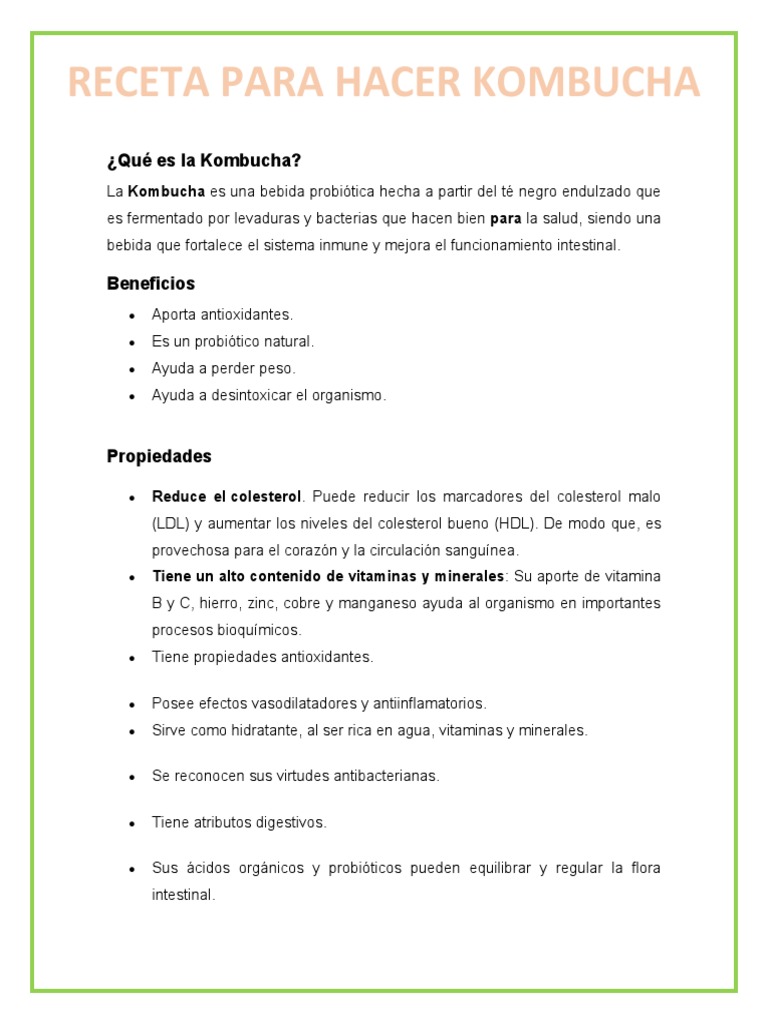 Receta de La Kombucha | PDF | Té verde | Fermentación