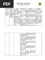 NANDA Nursing Care Plan Template | PDF | Self-Improvement | Wellness