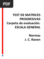 Protocolo de Prueba Raven: Formato y Diagnóstico | PDF