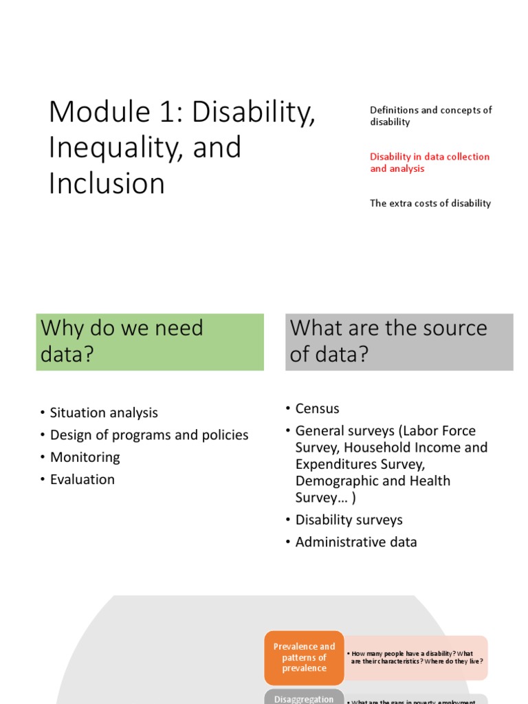 Disability Data | PDF