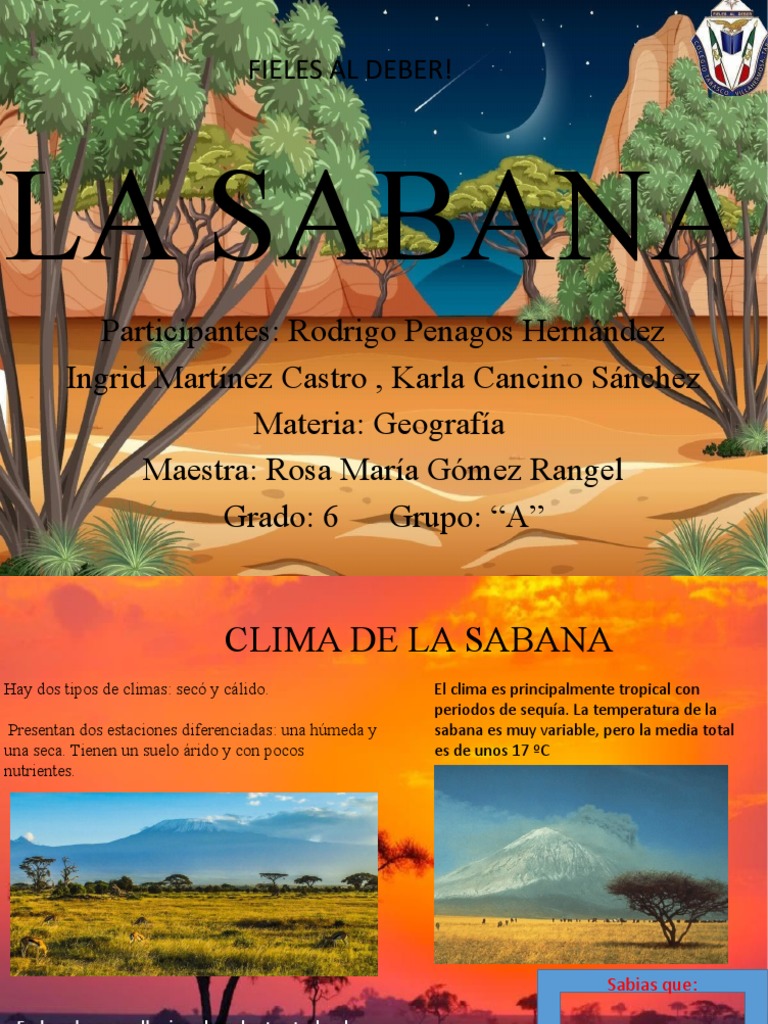 La Sabana | PDF | Arboles | Sabana