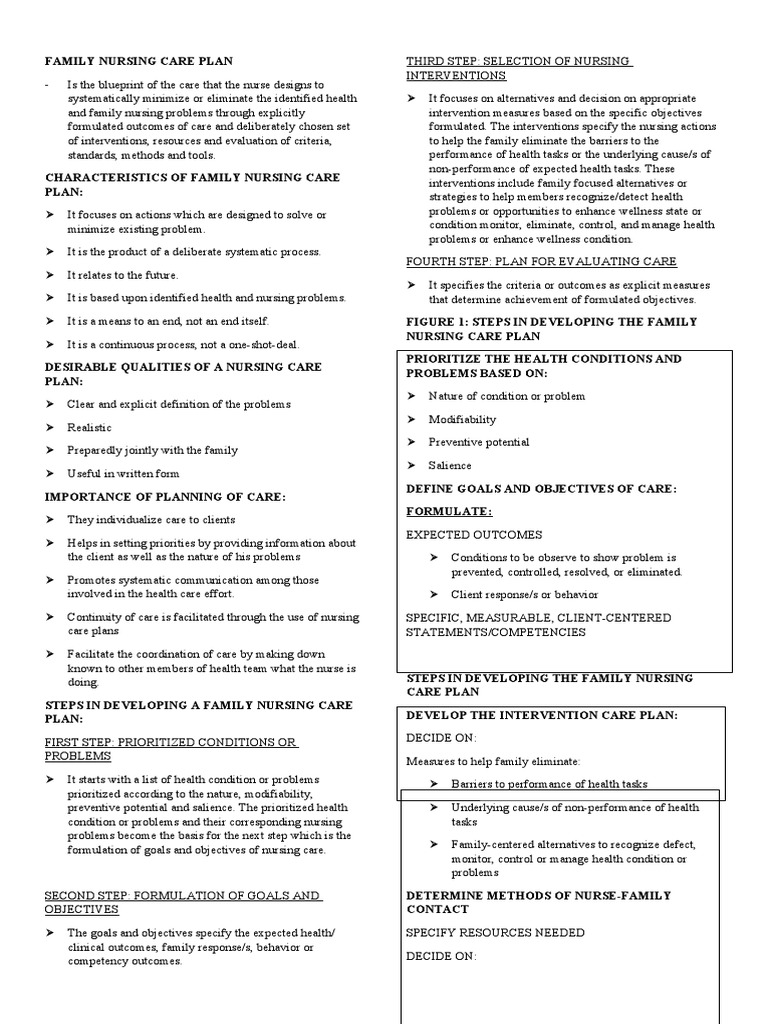 Family Nursing Care Plan | PDF | Nutrients | Nursing