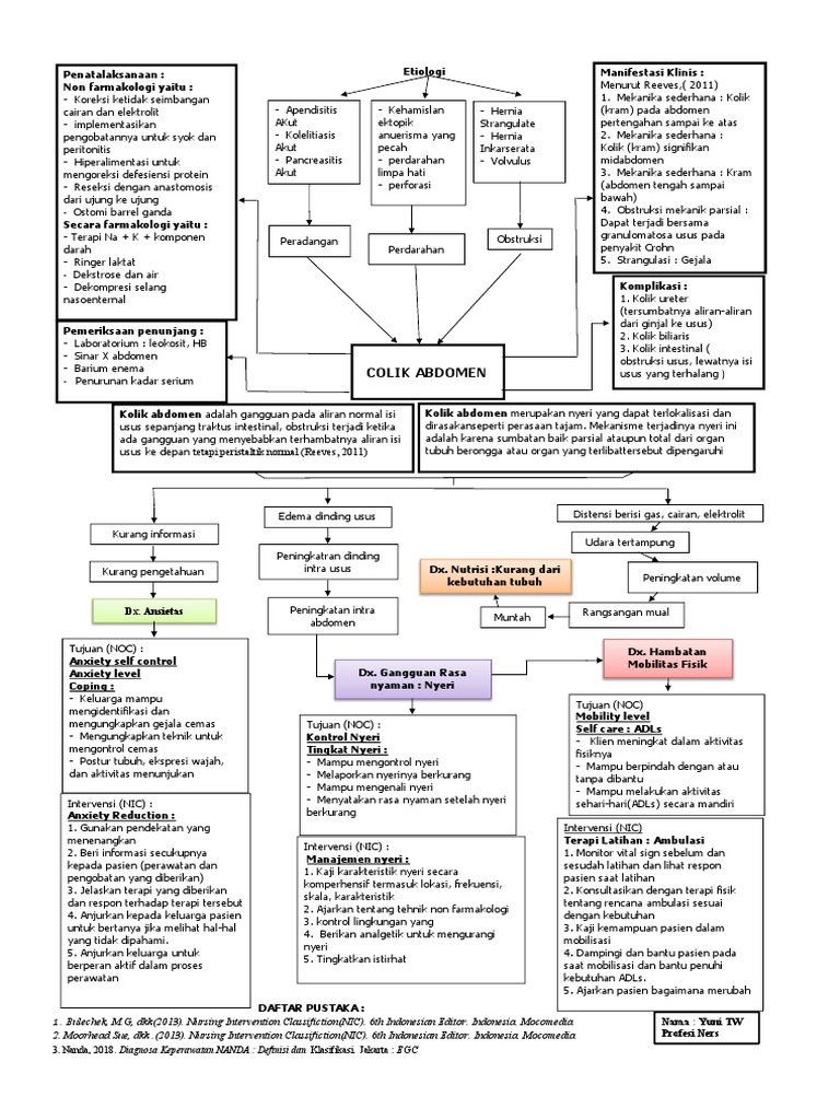 WOC Colic Abdomen | PDF