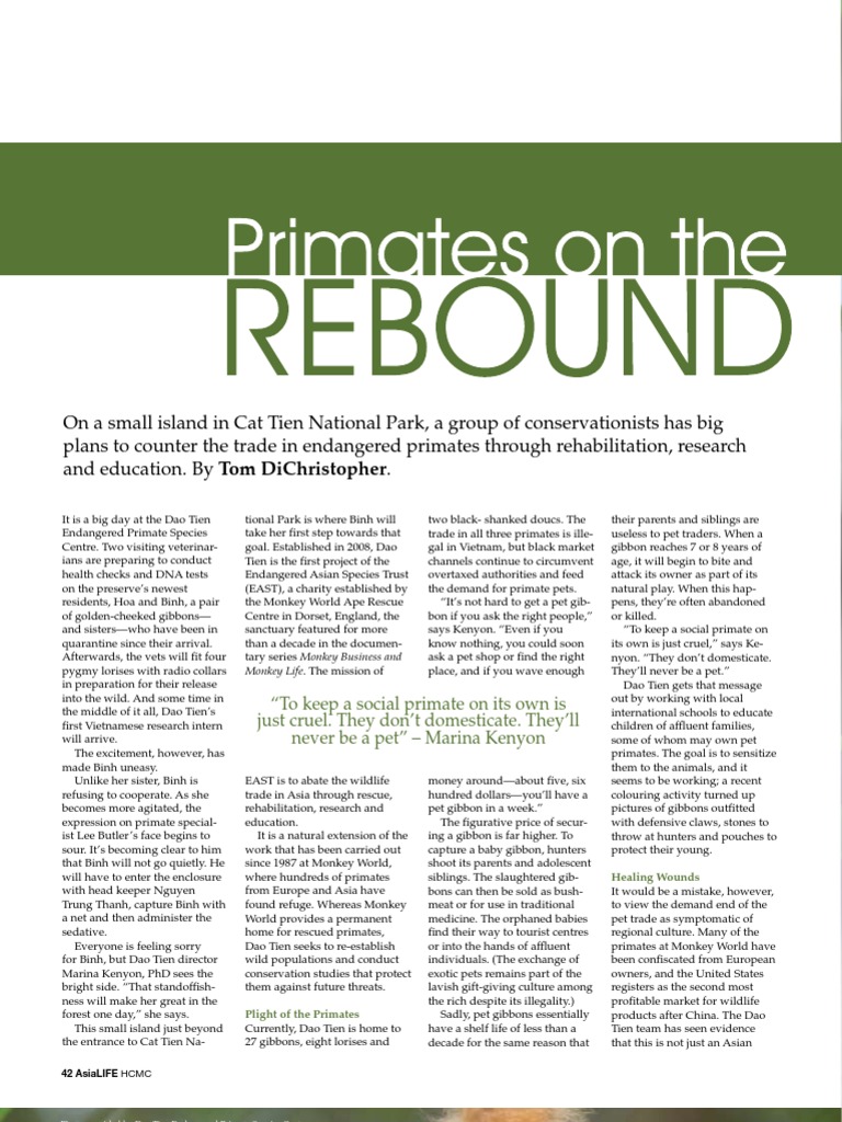 Primates On The Rebound | PDF | Science & Mathematics