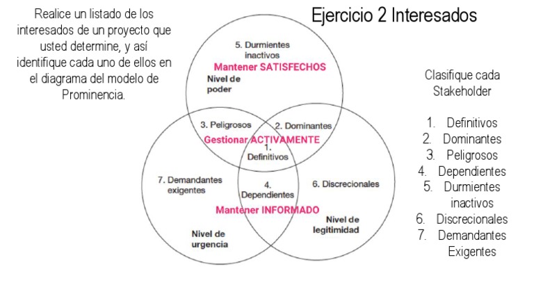 Ejercicio Modelo de Prominencia Stakeholders | PDF