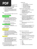 Blood Type Review Worksheet | PDF | Blood Type | Body Fluids