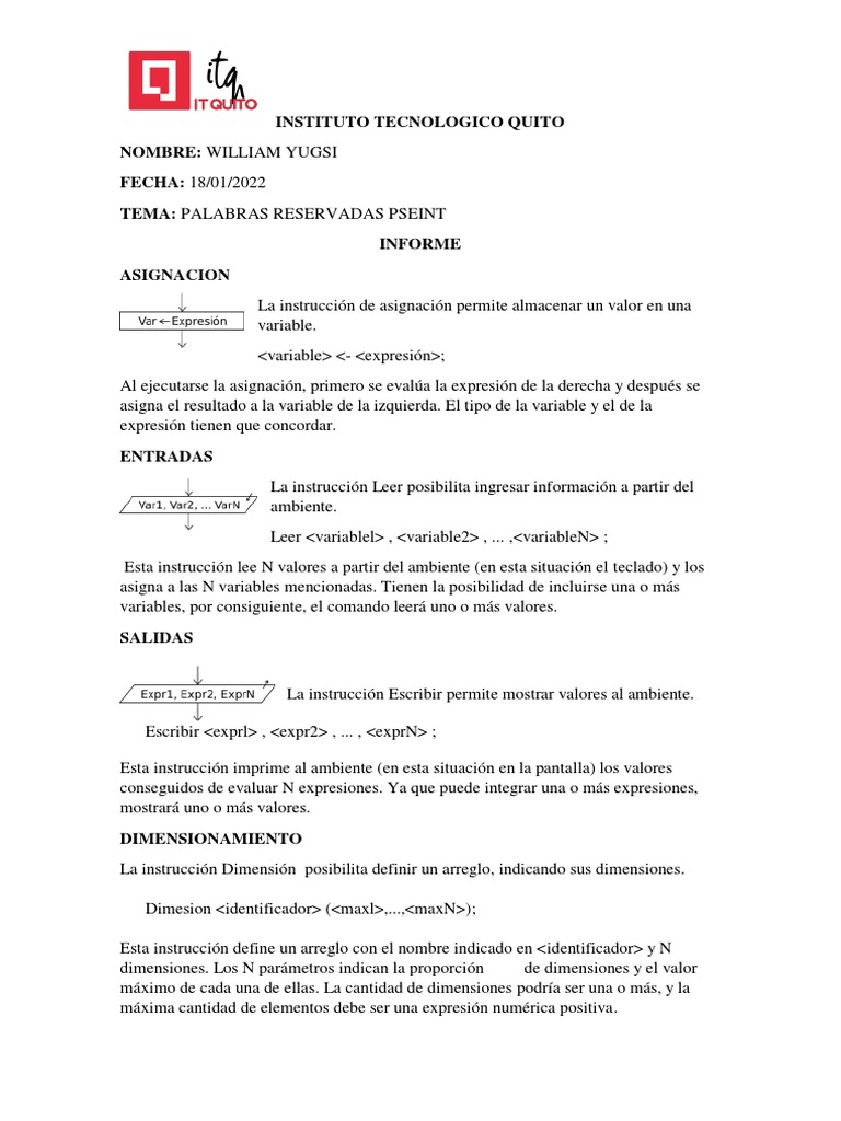 Informe Palabras Reservadas Pseint | PDF
