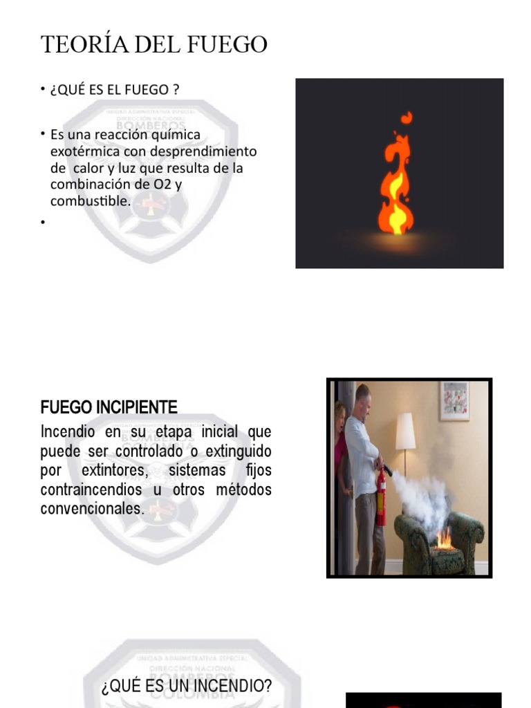 Fuego y Prevencion | PDF | Incendios | Combustión
