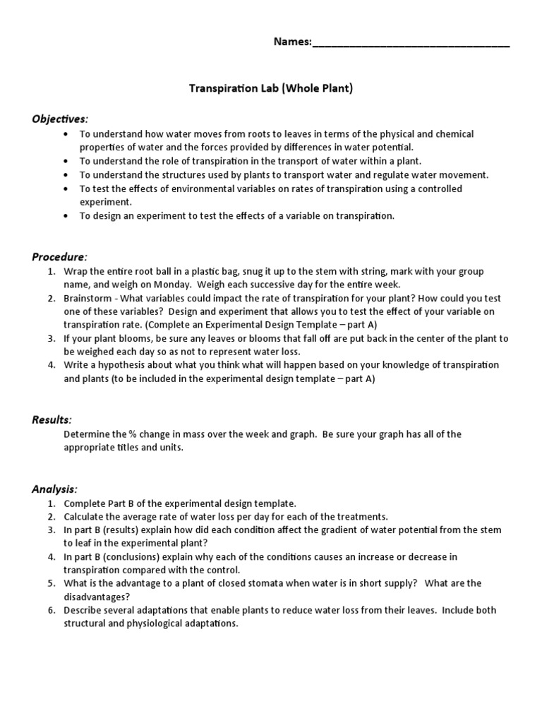 Whole Plant Transpiration Lab | PDF | Experiment | Design Of Experiments