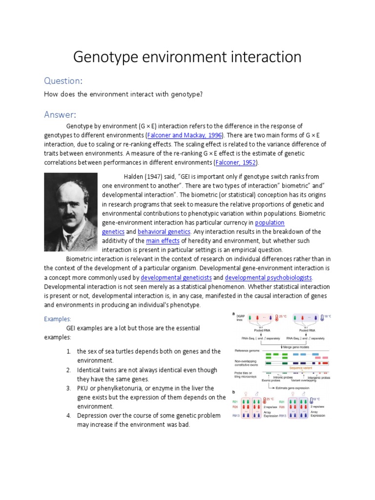 Genotype Environment Interaction | PDF | Genetics
