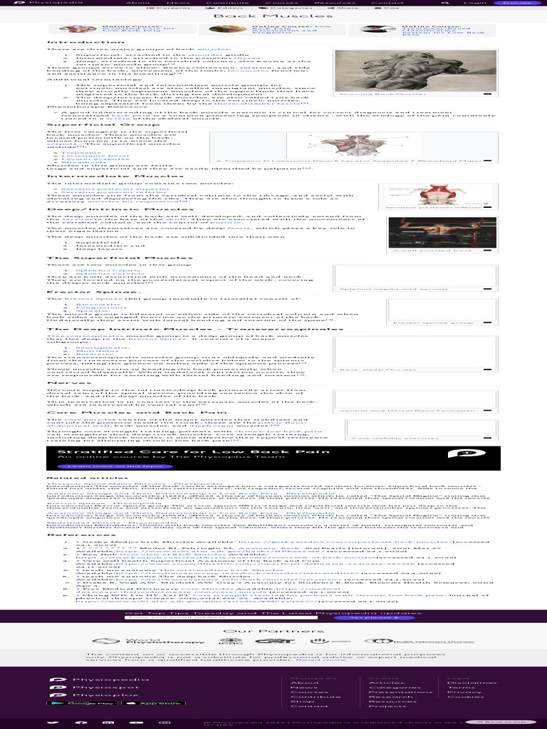 Back Muscles - Physiopedia | PDF | Vertebral Column | Vertebra