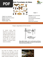 Origen y Evolucion de Los Insectos | PDF | Insectos | Escala de tiempo ...