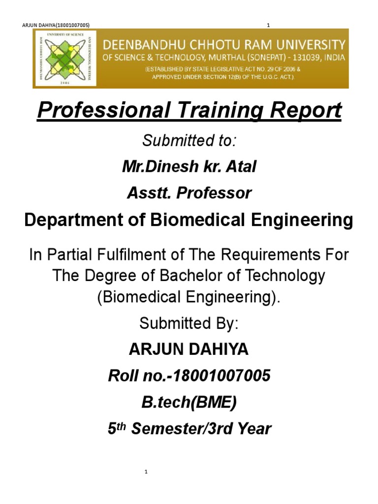 Python Professional Training Report | PDF | Python (Programming ...