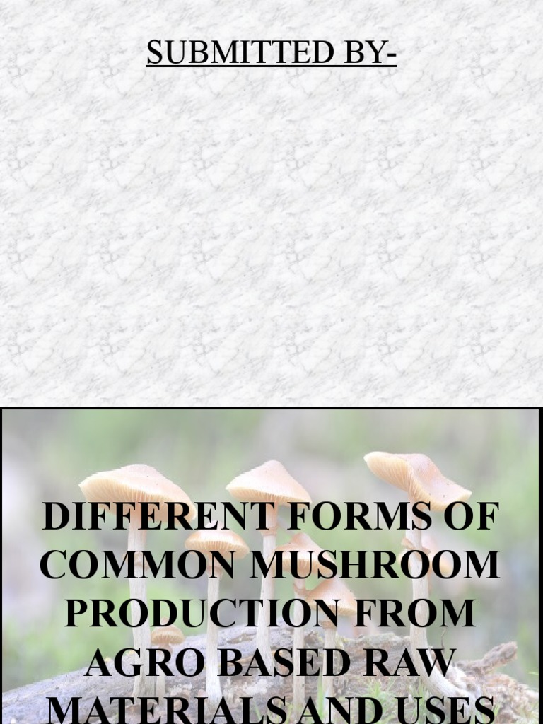 Different Forms of Common Mushroom Production From Agro | PDF | Fungus ...