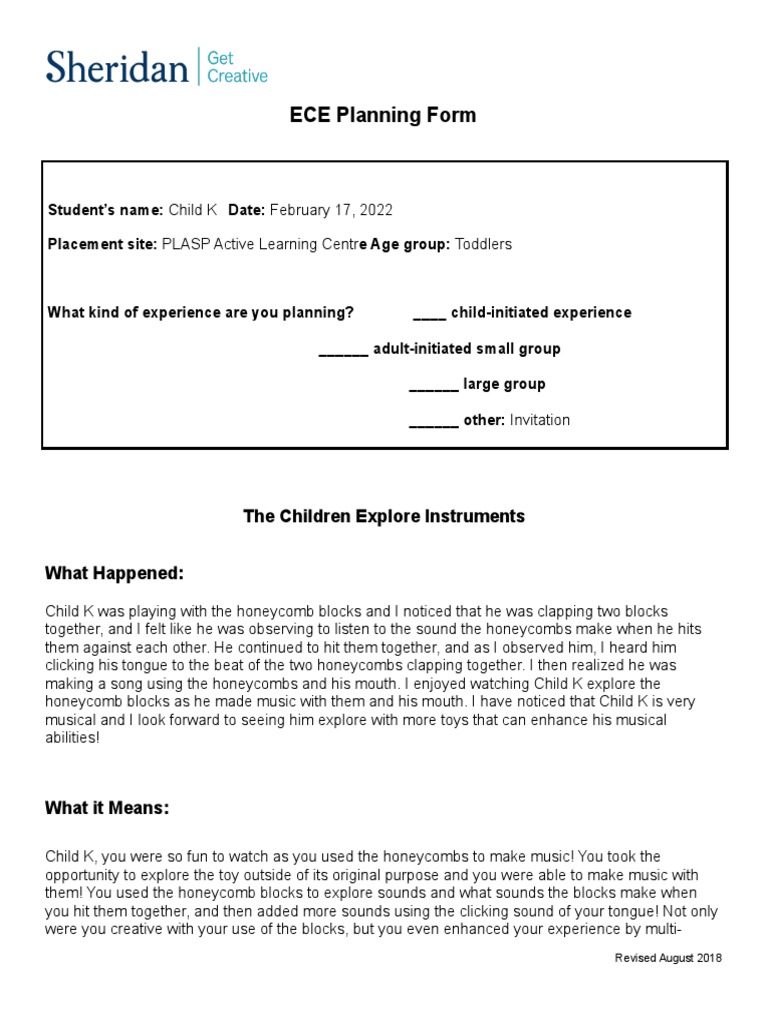 ECE Planning Form: The Children Explore Instruments What Happened | PDF ...