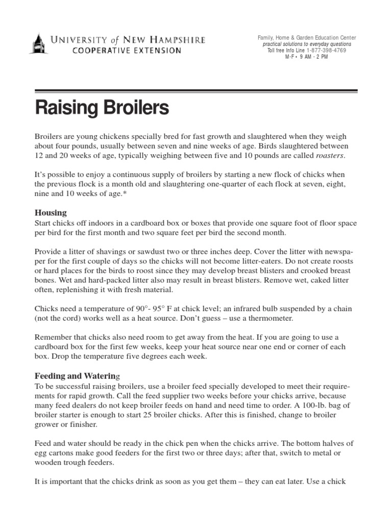 Raising Broilers | PDF | Broiler | Birds