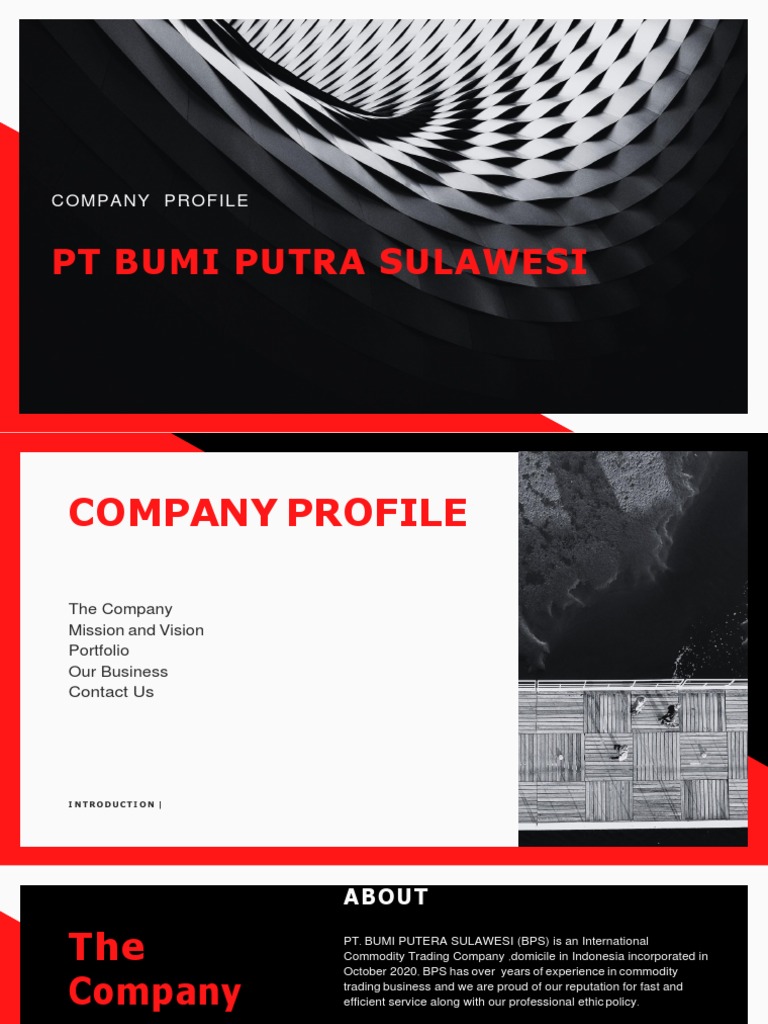 BPS Compro 22022 | PDF | Mining | Coal