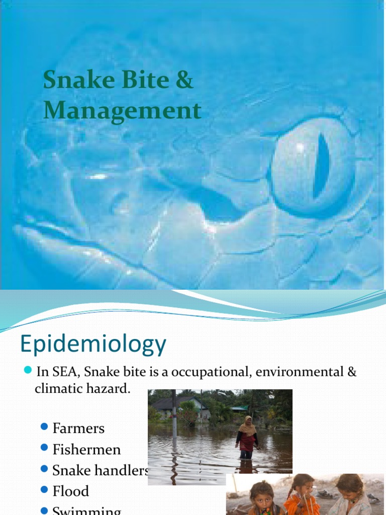 Snake Bite & Management | PDF | Snake | Medical Specialties