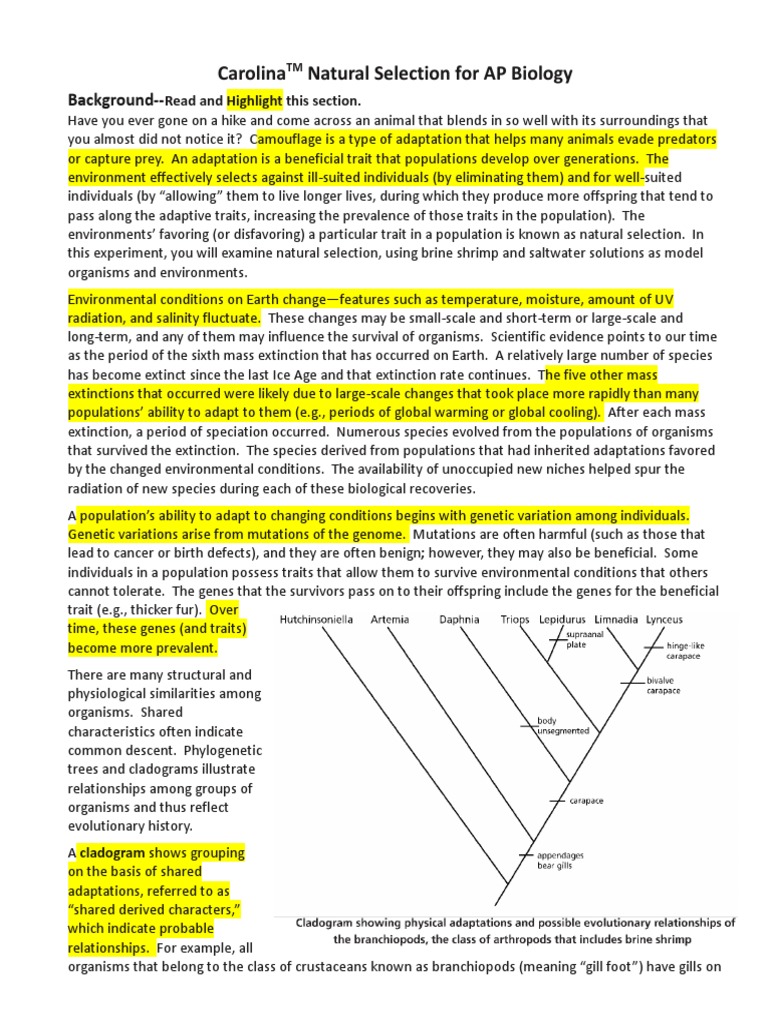 Natural Selection Lab | PDF
