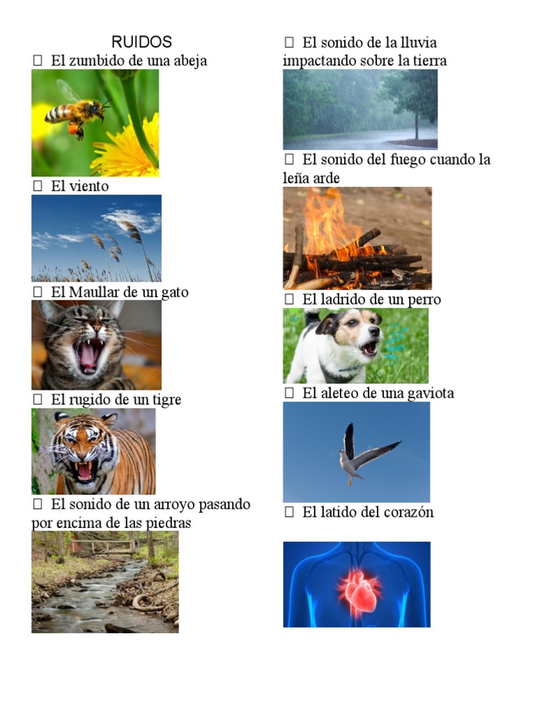 10 Ejemplos de Ruidos | PDF