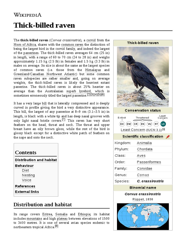 Thick Billed Raven | PDF | Ornithology | Birds