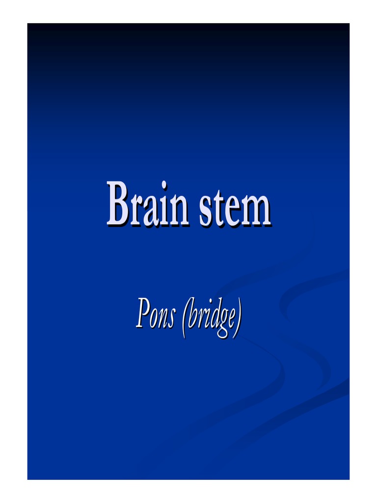 Pons | PDF | Brainstem | Cerebellum
