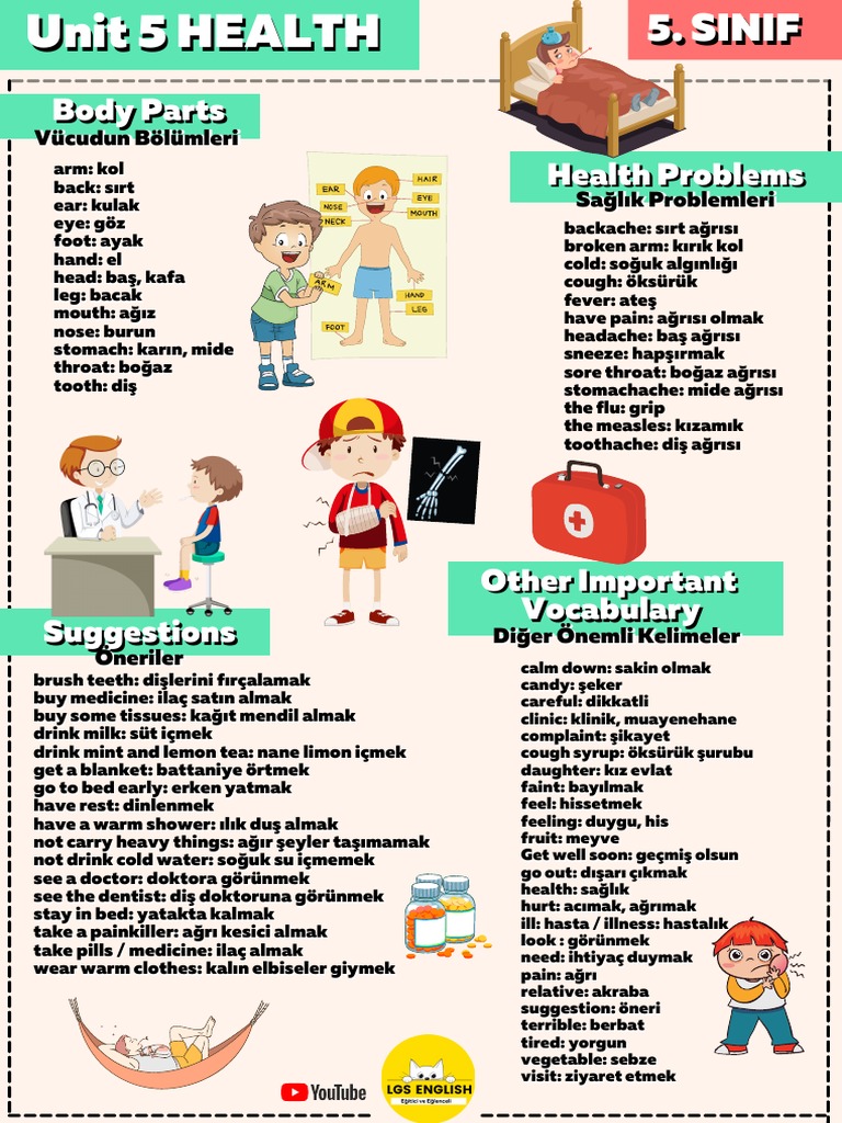 5.5 Health Vocabulary | PDF