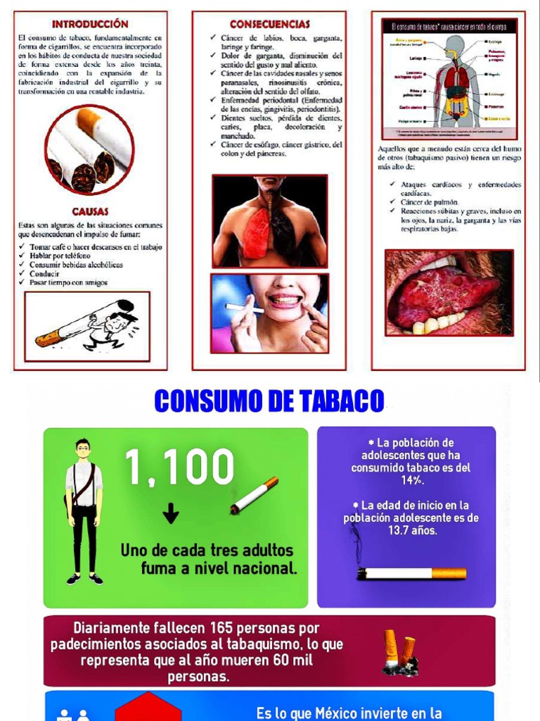 Infografía y Tríptico Tabaco | PDF