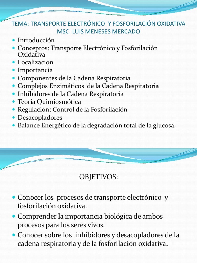 Transporte Electronico y Fosforilacion Oxidativa | PDF | Cadena de transporte de electrones ...