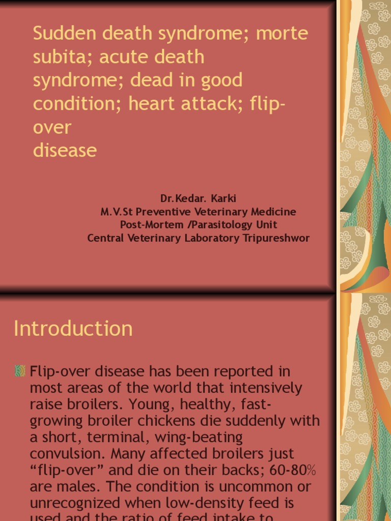 Sudden Death Syndrome | PDF | Broiler | Poultry Farming