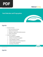 The Largest Bunch of Grapes | PDF | Vitis | Grape