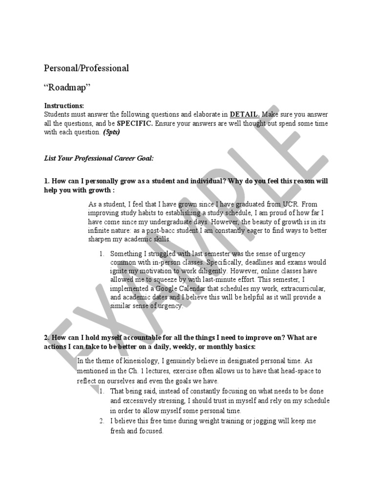 Personal/Professional "Roadmap": List Your Professional Career Goal ...