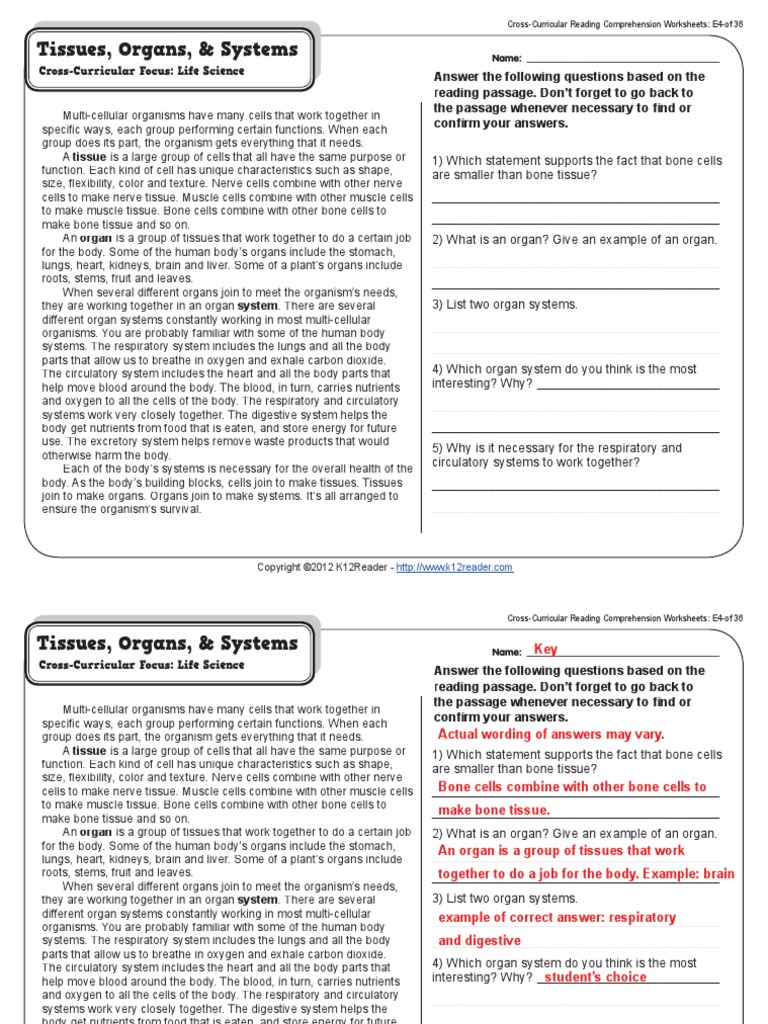 5th Grade Reading Comprehension Worksheets - Fifth Grade Week 4 | PDF ...