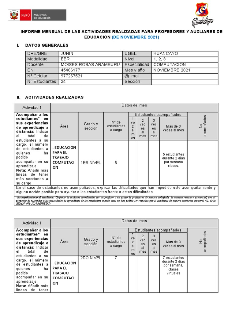 Informe Mensual Ejemplo | PDF | Evaluación | Informática